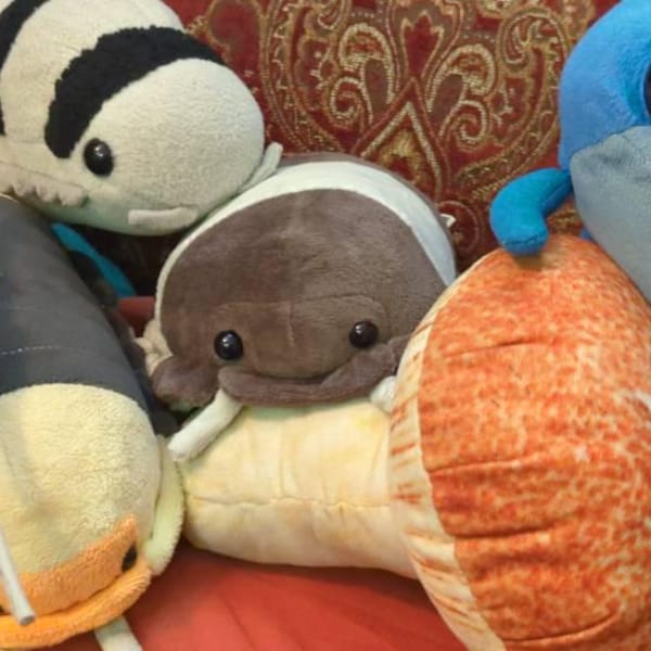 Panda King Isopod Plushie (imperfect) - Etsy