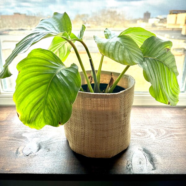 Ready to Ship 4 Diameter Canvas Planter Cover / Planter Bag Upcycled ...