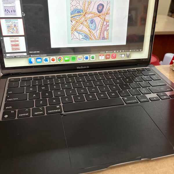 Neon Topographic Map Bicycle Frame Protector Decals, Bike Protection ...