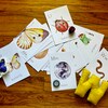 Nature Themed Alphabet Cards | Homeschool Nature Study | Printable ...