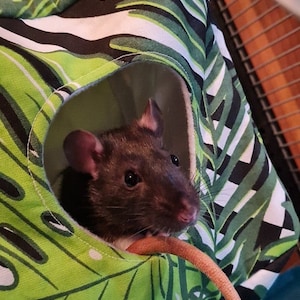 Rat Hammock Rat Cage Accessories Rat Toys Rat Hammocks UK - Etsy