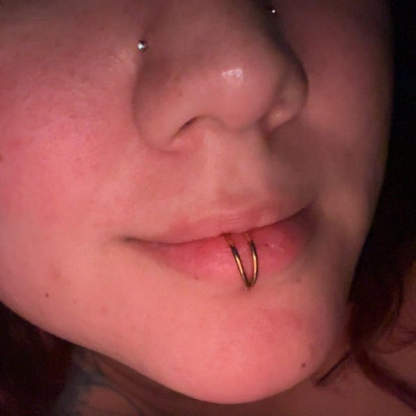 Split Double Lip Ring, Labret Ring, Minimalist Style, A-SH528 SH529 ...