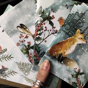 Winter Woodland Animals Christmas Cards 12 Holiday - Etsy