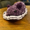 Dorid Nudibranch Amigurumi Pattern, Crochet Sea Slug Pattern Only - Etsy