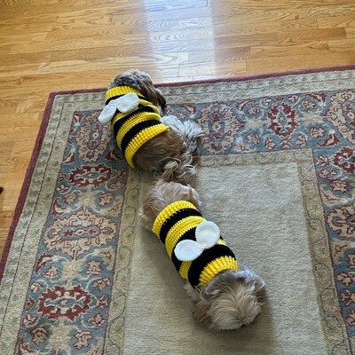 Bumblebee Dog Sweater / Halloween Costume Available in 4 Sizes - Etsy