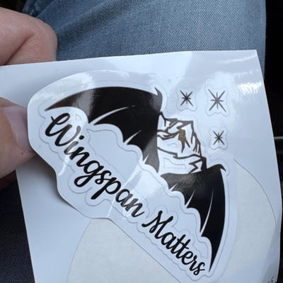 Wingspan Matters Decal, ACOTAR Decal, Illyrian Wings, Sarah J Maas, A ...