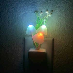 Small Nature Spirit Shelf With Live Edge | Etsy