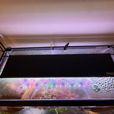 10 Gallon Aquarium Lid Reversible for Hang on Back Filters - Etsy