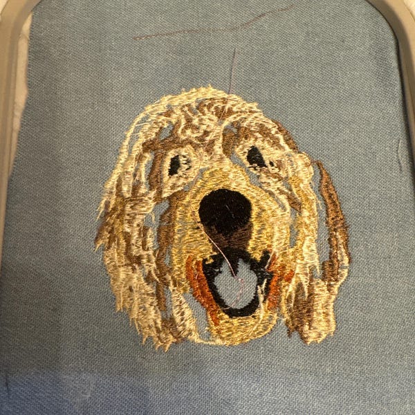 Labradoodle Dog Embroidery Designs, Machine Embroidery Pattern ...