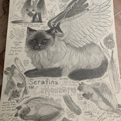 Monongy the Fish Folk: Cryptid Bestiary Sketch Art Print - Etsy