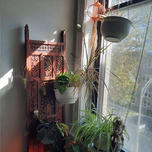 Zach Bryan Inspired Elastic Bracelets - Etsy