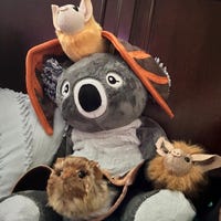 Bat Plush, Fruit Bat, Albino Flying Fox , Halloween Gift Bat Lovers ...