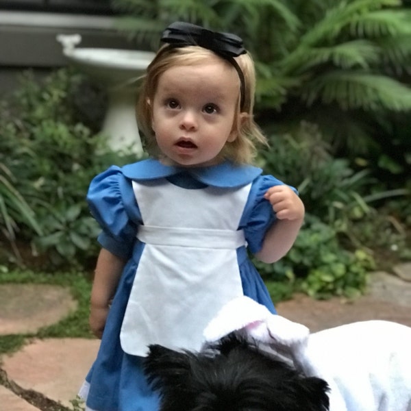Alice In Wonderland Costume Adult Size Custom Cosplay Etsy