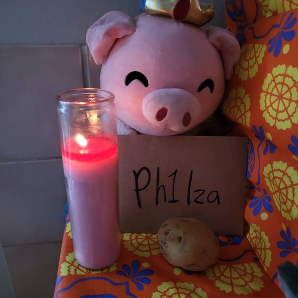 DSMP- Personalized Letter From Your Fictional Comfort Character on the ...