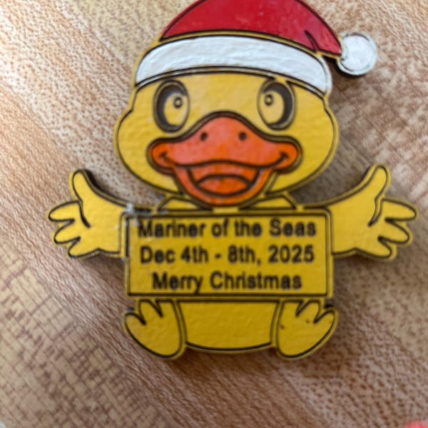 Personalized Cruising Duck Magnet: Cruise Keepsake - Etsy