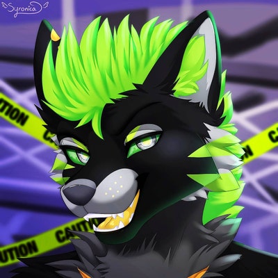 Fursona Coloring Page Pfp Icon Base Furry Digital Download DIY YCH .PSD ...