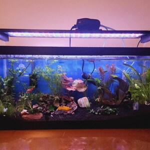 Aquaneat LED Light Riser, Attractive Stable Elevated Stand, Quality LED ...