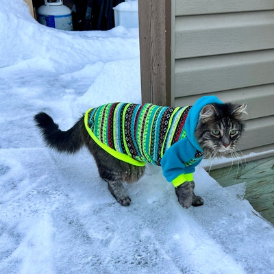 Warm Cat Jacket, Softshell Jacket for Cat, Waterproof and Windproof Cat ...