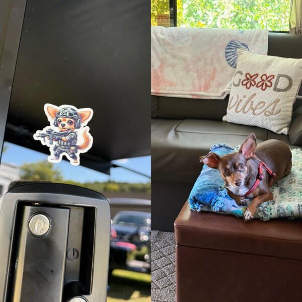 Tactical Alligator Sticker, Alligator, Tactical, Operator, Tactical ...