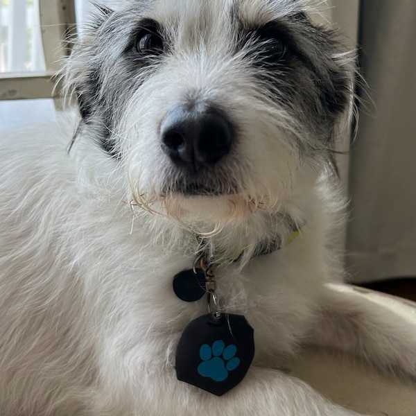 Pet Tag Silencer - Etsy