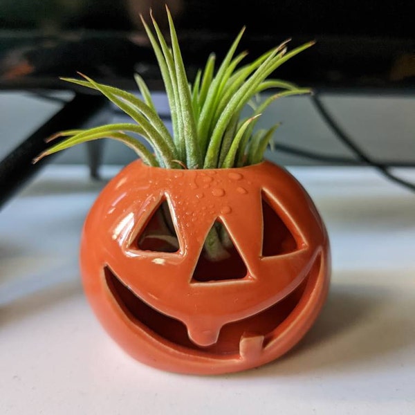 Mini Beach Zen Garden DIY Kit | Sea Turtle Zen Garden | Meditation ...