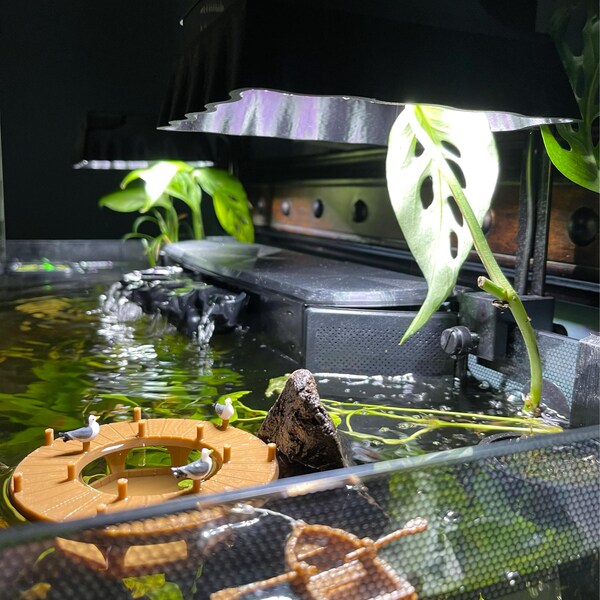 Floating Shrimp Dock Feeder: Aquarium Feeding Station - Etsy
