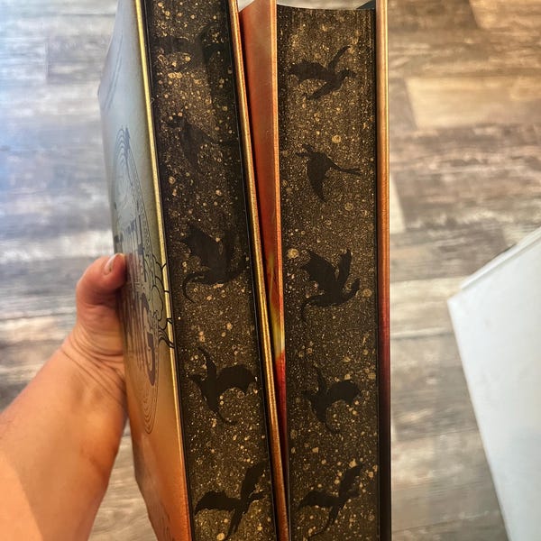 Iron Flame Book Spraying Service REPLICA - Not a First Edition Copy ...