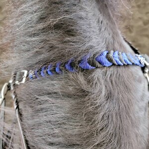 Complete Teal Bosal Bitless Bridle Set Rawhide Bisal and Teal - Etsy