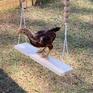 Chicken Rocking Roosting Bar Toy for Coop Made in the USA - Etsy
