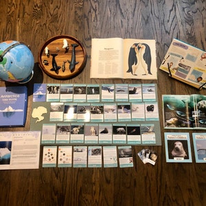 Tree of Life Kingdom Classification Control Chart Activity - Etsy