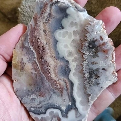 Agatized Coral Half Slice Raw Mineral Slab Stones and Rocks for Cabbing ...