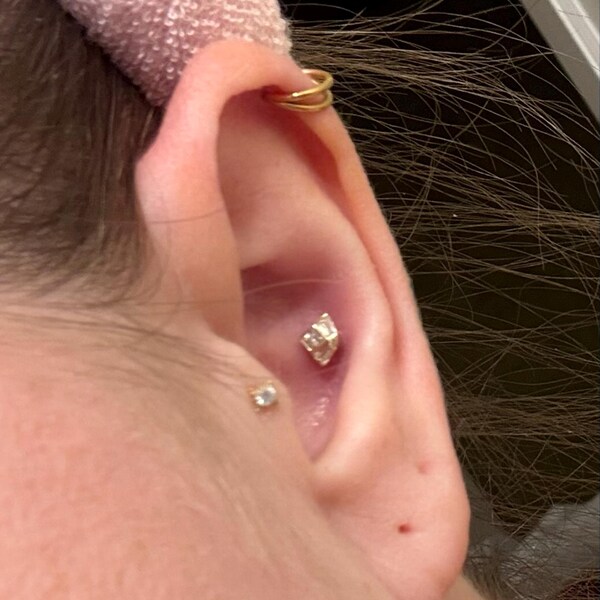 ASTM F136 Titanium Triple Stacked Conch Hoop, 16 Guage, Gold Conch Hoop ...