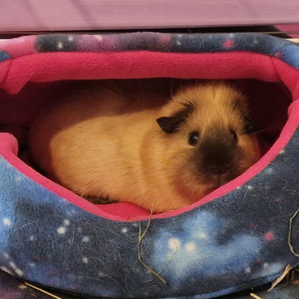 Make Your Own Guinea Pig Slipper Snug: Digital Sewing Pattern and ...