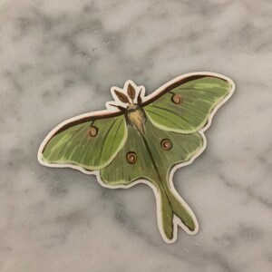 Sticker: Proud Book Lover Subtle Pride Bookmarks Pastel - Etsy