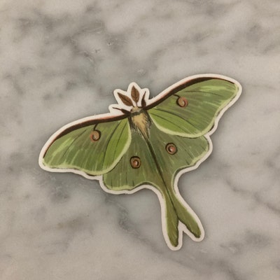 Sticker: Proud Book Lover Subtle Pride Bookmarks Pastel - Etsy