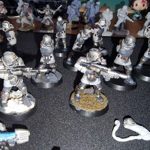 Pythonicus Archon / Pythonicus / Scavenger / Flying / Archon / - Etsy