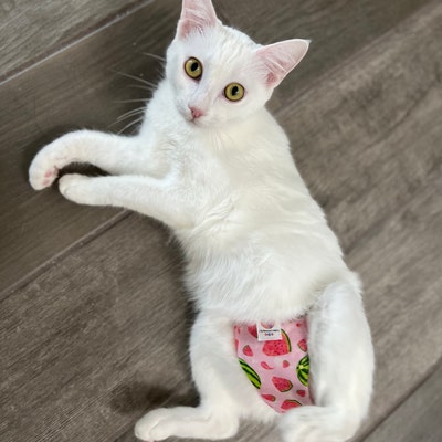 Guinea Pig Cavy Diaper With Bib / Collar Waterproof Designed - Etsy