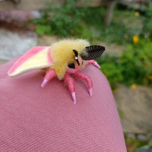 Polyphemus Moth, Needle Felted, Moth Figurine, Decoration, Handmade ...