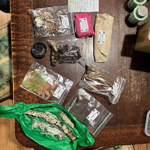 Lg Forest Findings Collection, Dried Forest Decor, Photography Props - Etsy