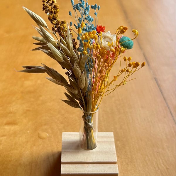 Good Luck in Your New Adventure, Gift for Coworker, for Friend, Dried ...