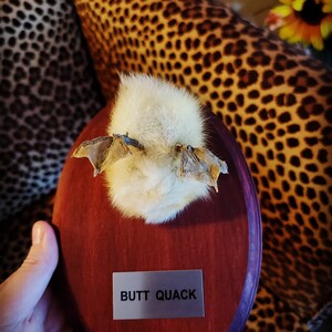 Taxidermy horror zombie rat prop..super realistic Gore..censor | Etsy