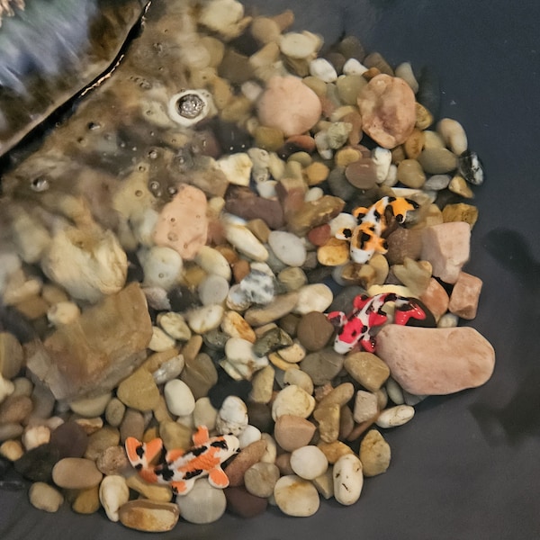 Koi Fish Nature Scene Diorama, Mini Lake Ecosystem Diorama, Tiny Bamboo ...