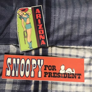 Vintage Snoopy for President Political Retro Travel Decal Bumper ...