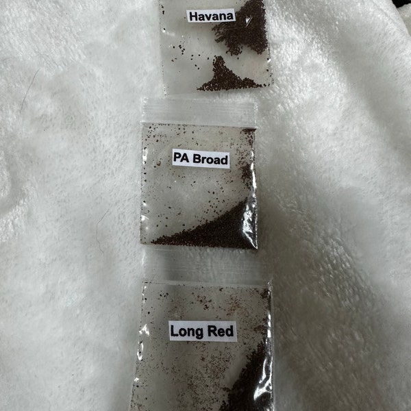 Chewing Tobacco Seed Pack- 3 Varieties for Chew & Dip 3,000+ Seeds - Etsy