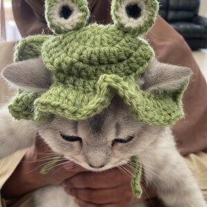 Pumpkin Cat Hat Halloween Cat Hat Costume for Cat - Etsy Canada