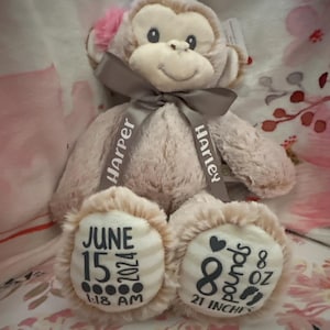 Adoption Bunny Rabbit Stuffed Animal, Personalized Adoption Gift ...