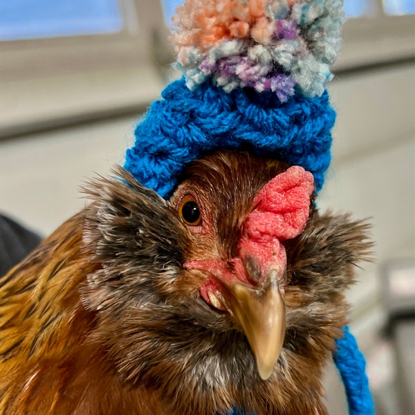 Chicken Hat With Ties - Etsy