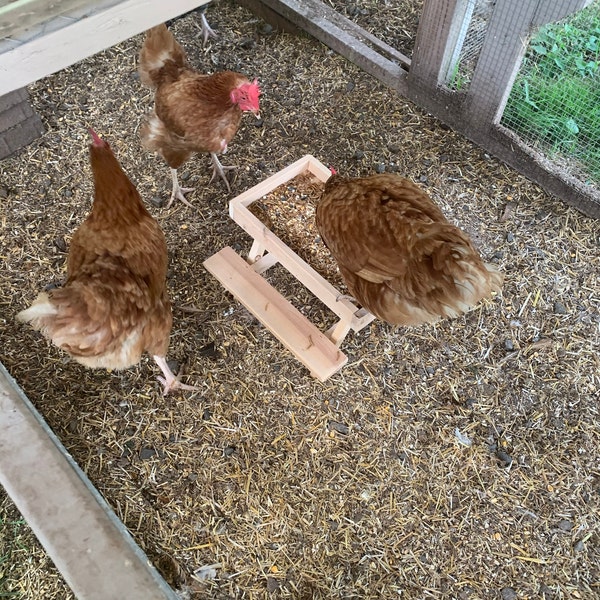Chicknic Picnic Table for Chickens - Etsy