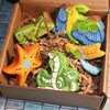 Colorful Wooden Coral Reef Puzzle Eco-friendly 11-piece Ocean Life Toy ...