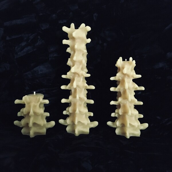Beeswax Human Spine Candles, (larger Set of 3) - Etsy